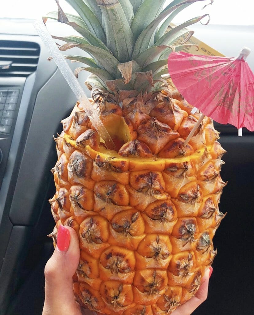 Pineapple Raspberry Sorbet - Natalie Way Bakes